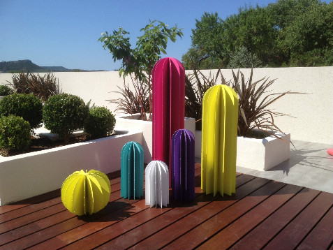 Des cactus dans ma déco | Madame Décore